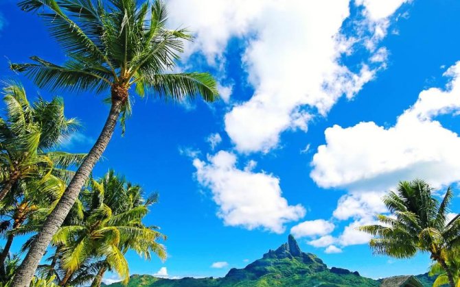 Wycieczka Marzeń: Polinezja z Polskim Skipperem